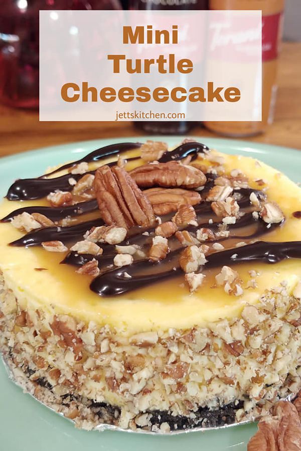Mini Springform Turtle Cheesecake - Jett's Kitchen